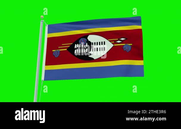 Seamless loop animation of the Swaziland flag on a green screen ...