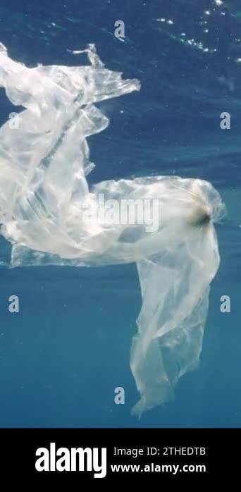 Vertical video, Plastic trash in water, bag floating underwater inside ...