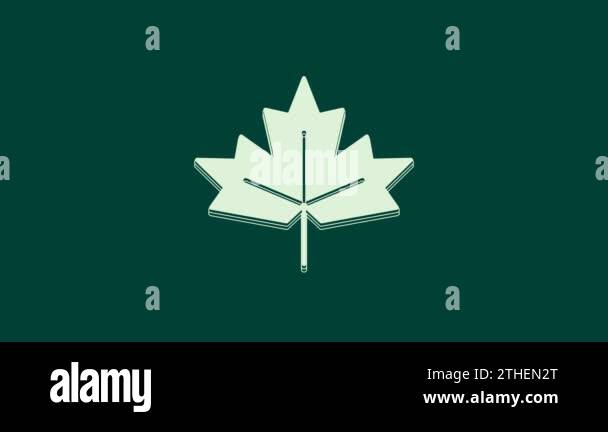 Canada symbol maple leaf Stock Videos & Footage - HD and 4K Video Clips ...