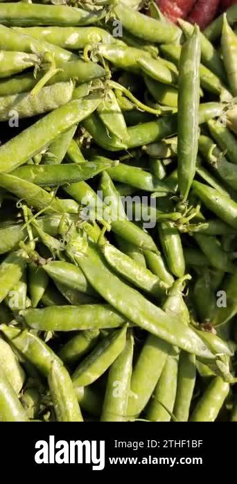 Edible seed pods Stock Videos & Footage - HD and 4K Video Clips - Alamy