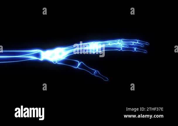 Bones human hand Stock Videos & Footage - HD and 4K Video Clips - Alamy