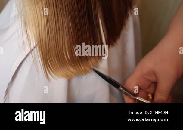 The hairdresser runs a comb along the length of the hair and cuts off ...
