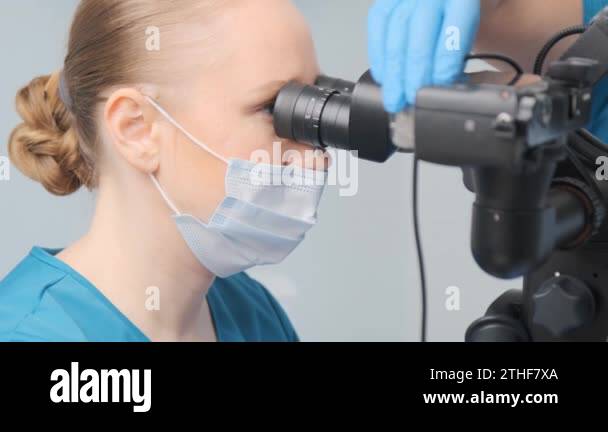 The dental surgeon performs procedure looking through microscope optics ...