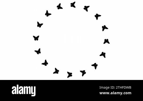 Frame round flying butterflies Stock Videos & Footage - HD and 4K Video ...