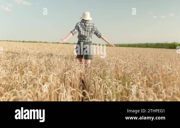 Woman runing fun across the wheat field. agriculture dream concept ...