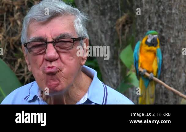 Man and his parrot Stock Videos & Footage - HD and 4K Video Clips - Alamy