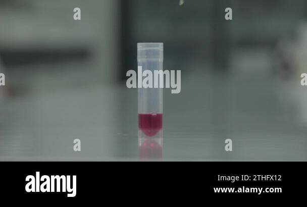 Color change reaction in test tube. Lab assistant mixing liquid using ...