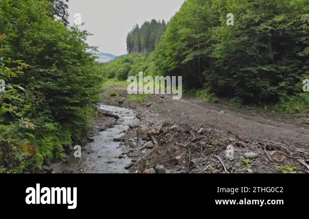 Forest stream landscape flows Stock Videos & Footage - HD and 4K Video ...