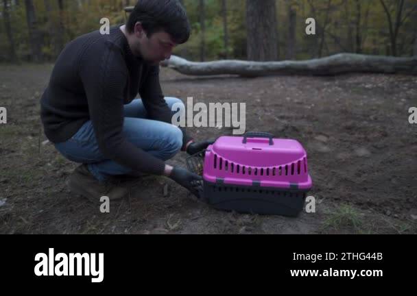 Corpse animal Stock Videos & Footage - HD and 4K Video Clips - Alamy