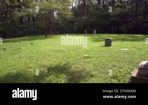 Tremetol vomiting Stock Videos & Footage - HD and 4K Video Clips - Alamy