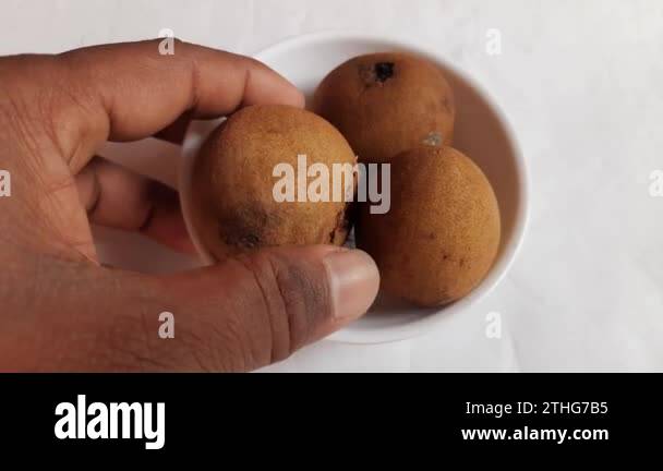 Manilkara zapota fruits. Its other names apodilla fruits, sapote ...