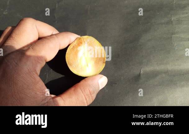 Manilkara zapota fruits. Its other names apodilla fruits, sapote ...