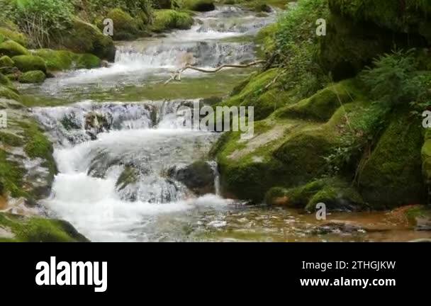 Beautiful clean transparent mountain stream in the Black Forest ...