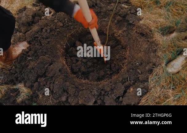 Farming male digging holes in soil Stock Videos & Footage - HD and 4K ...