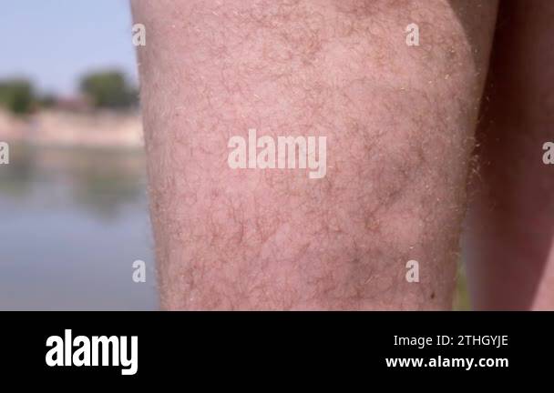 Man male hairy back Stock Videos & Footage - HD and 4K Video Clips - Alamy