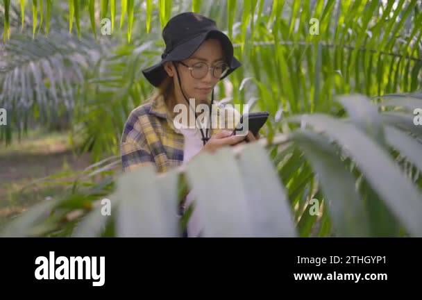 Asian woman farmer holding and using digital smartphone for social online communication while ...