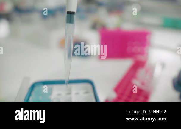 Scientist's hand holding pipette using DNA analysis for patient ...
