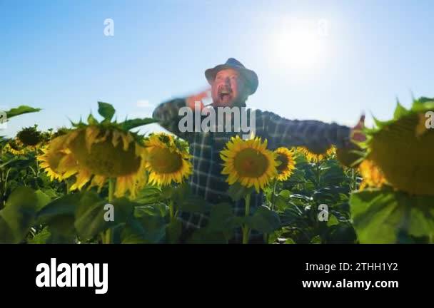 Pose with sunflower Stock Videos & Footage - HD and 4K Video Clips - Alamy