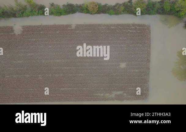AERIAL TOP DOWN: Harvested cornfield under muddy floodwater after heavy rainfall. Due to ...