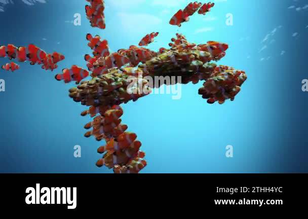 Mass migration movement. clown fish, Crowd of fishs behaviour. Flocking ...