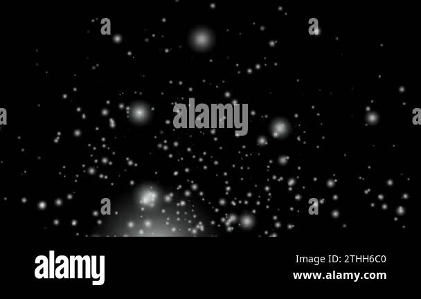 Heavy snowfall in the wild park, large flakes of snow falling slowly ...