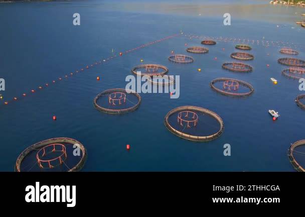 A sea farm on the coast, featuring circle-shaped net structures where ...