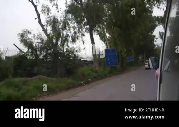 Driving Fast Past Tree Trunks And Fence - Slide - Left To Right Stock ...