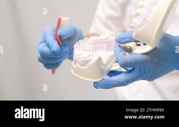 Brushing teeth properly Stock Videos & Footage - HD and 4K Video Clips ...