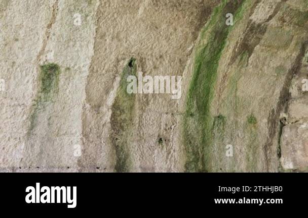 Arched old wall damaged by rotting with green fungus and mold closeup ...