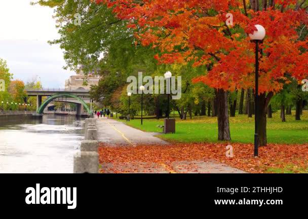 Fall foliage north america Stock Videos & Footage - HD and 4K Video ...