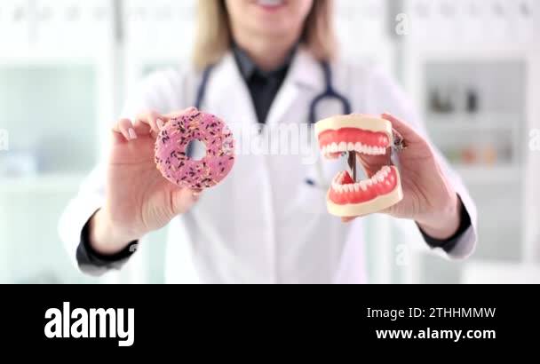 Dentist shows tasty donut and human jaw model in medical cabinet ...