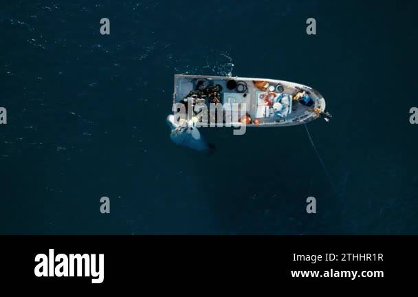Fishermen crew work hard together pulling out net with caught sea fish ...