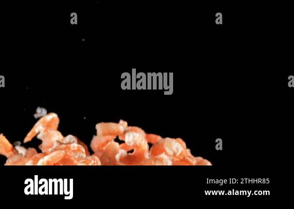 A pile of fresh shrimp soars up and falls. On a black background ...