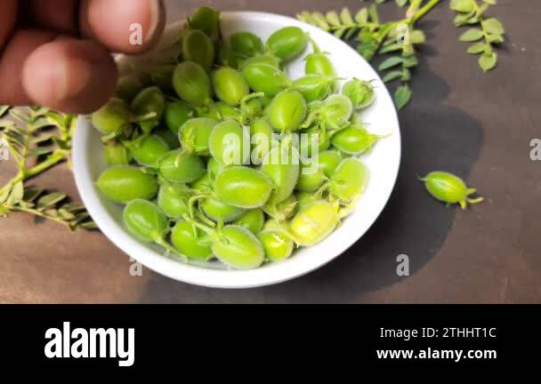 Bengal gram pod Stock Videos & Footage - HD and 4K Video Clips - Alamy