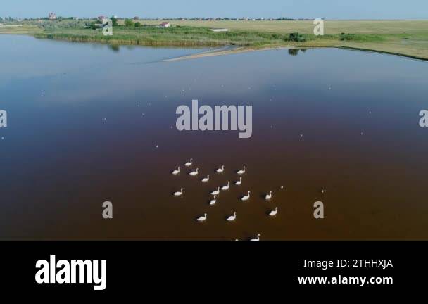 Henichesk strait Stock Videos & Footage - HD and 4K Video Clips - Alamy
