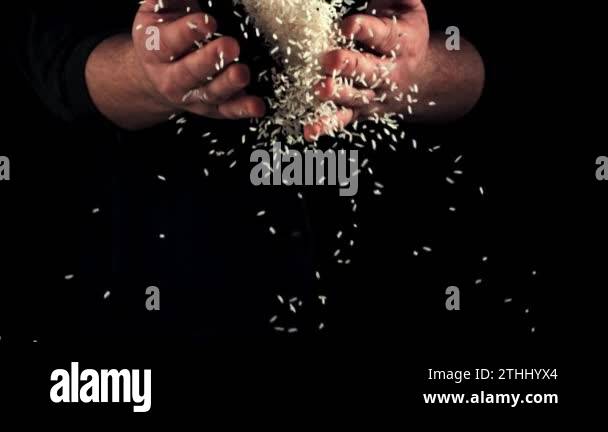 Mens hands throw handfuls of raw crumbly rice. On a black background ...