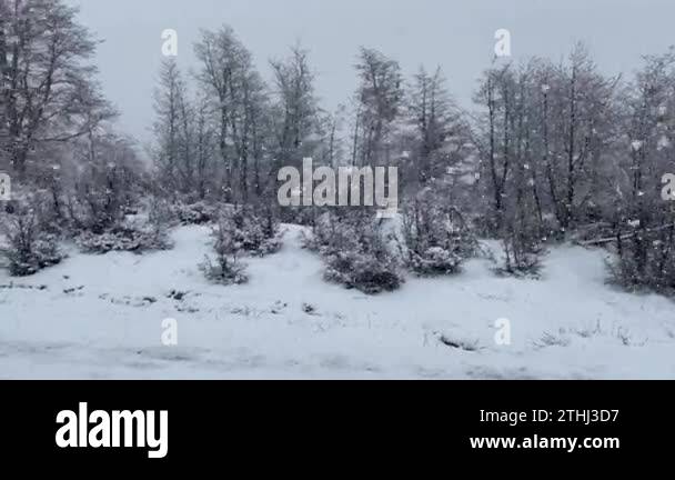 Heavy Snowfall in the Forest near the Road of the Seven Lakes (Spanish ...