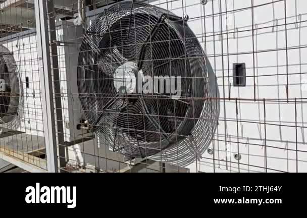 Fan ac fan Stock Videos & Footage - HD and 4K Video Clips - Alamy