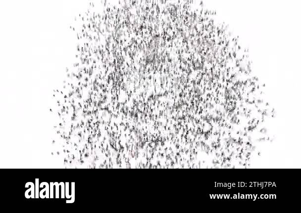 Person county map Stock Videos & Footage - HD and 4K Video Clips - Alamy