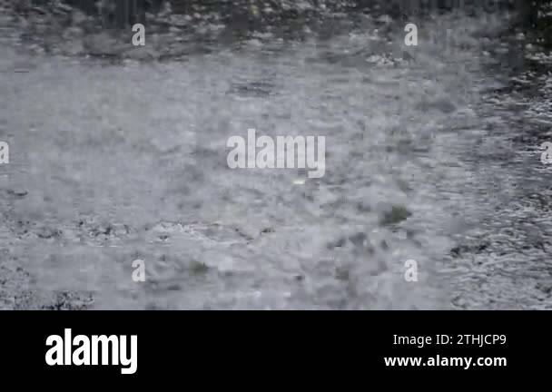 Rain. Rain dripping. drops of heavy rain dripping on the asphalt. Raindrops hit beat the asphalt ...