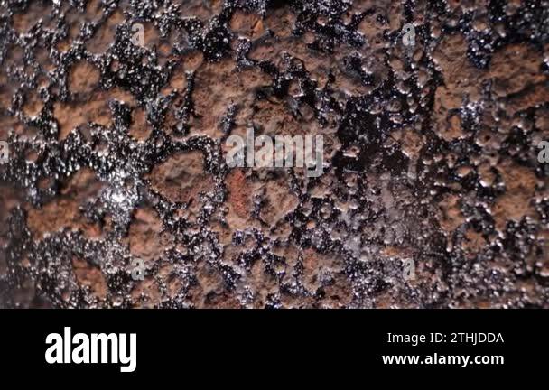 High tar Stock Videos & Footage - HD and 4K Video Clips - Alamy