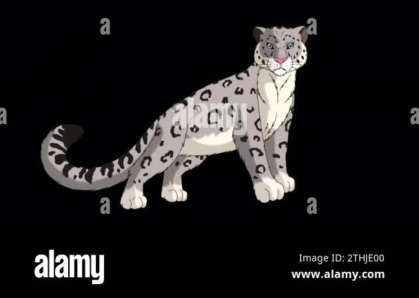 Snow leopard cut Stock Videos & Footage - HD and 4K Video Clips - Alamy