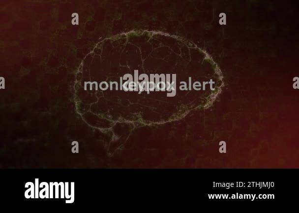 Monkey brain Stock Videos & Footage - HD and 4K Video Clips - Alamy