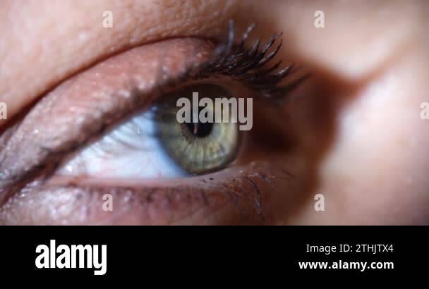 Close-up of a beautiful female eye, side view. Human eye, eyelash ...