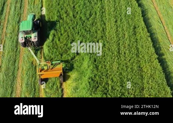 Farmer mowing grass using a tractor with a rotary mower. Livestock ...