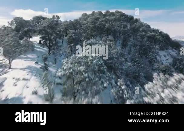 Drone flying fast above cold mountain top with frozen forest. Inspiring ...