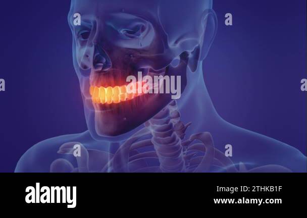 Teeth animation Stock Videos & Footage - HD and 4K Video Clips - Alamy