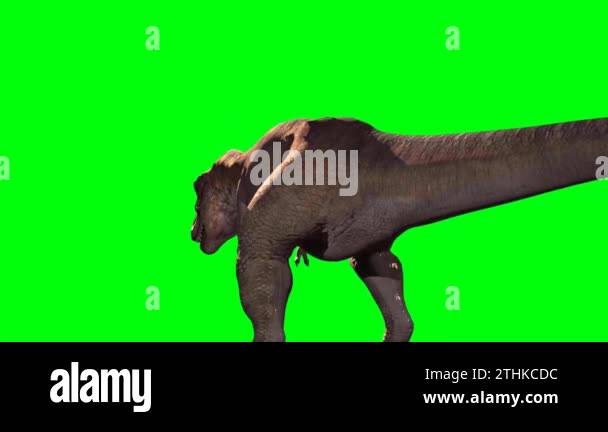 tyrannosaurus rex roaring on green screen Stock Video Footage - Alamy