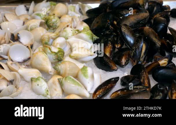 Seafood buffet of fresh snails and mussels on ice presented in a ...