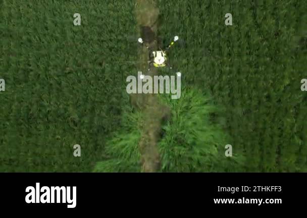 Agriculture Drone Technology AI robot for farmer to remote and spray ...